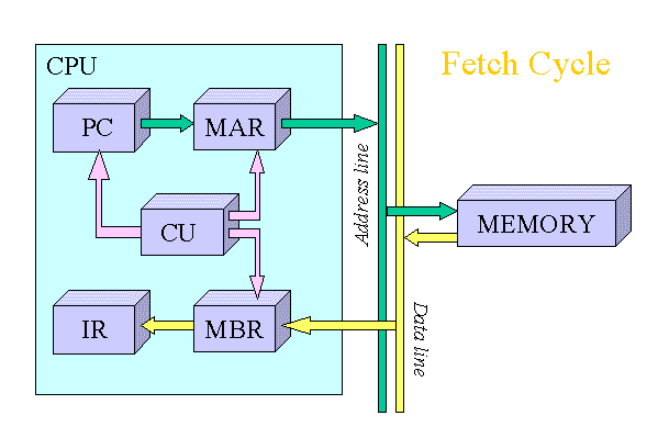 Fetch GIF - Find on GIFER