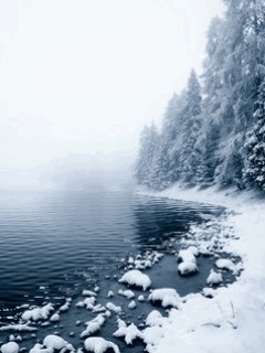 Landscape GIF - Find on GIFER