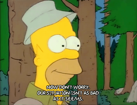 GIF season 1 homer simpson episode 7 - animated GIF on GIFER