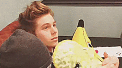 GIF adorable - animated GIF on GIFER