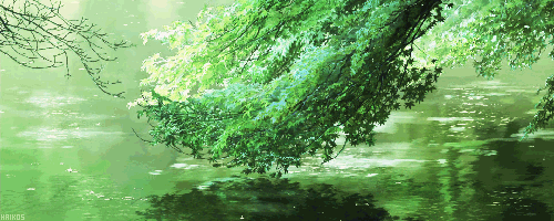 Garden GIF - Find on GIFER