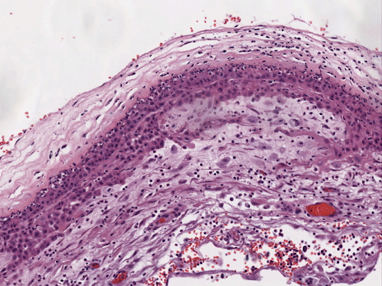 Key GIF - Find on GIFER