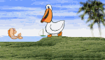 Pelican GIF - Find on GIFER
