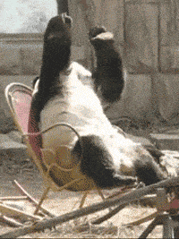 Data movies day GIF - Find on GIFER