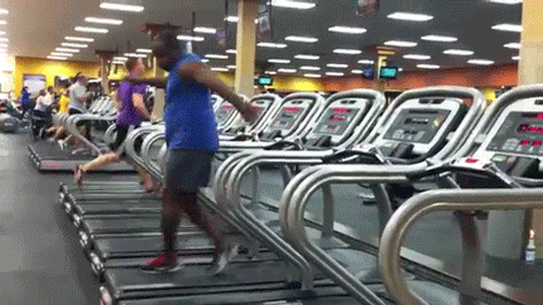 Fans GIF - Find on GIFER