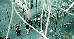 Crosshair film GIF - Find on GIFER
