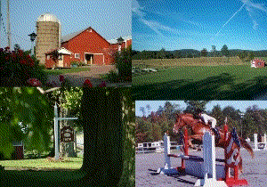 Farm windfield GIF - Find on GIFER