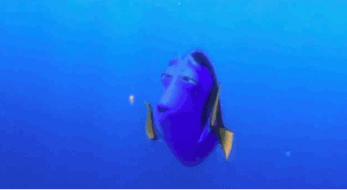 Finding dory GIF - Find on GIFER