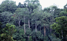 India GIF - Find on GIFER