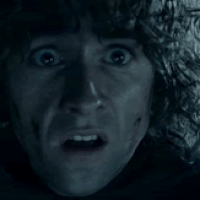 Pippin GIF - Find on GIFER