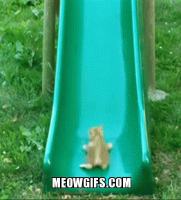 Slide GIF - Find on GIFER