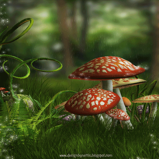 GIF astronomy northern lights ireland - animated GIF on GIFER - by Dalak