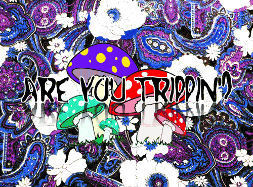 Shrooms GIF - Find on GIFER