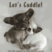 Lets Cuddle Gif