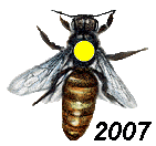 Queen bee GIF - Find on GIFER