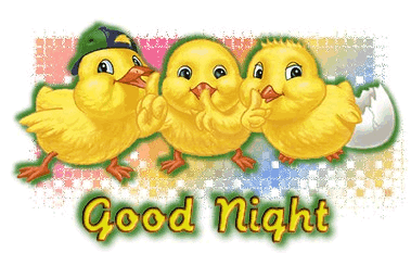Chicks GIF - Find on GIFER
