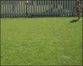 GIF falling slip and slide fail - animated GIF on GIFER