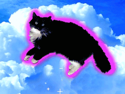 Cat pink rainbow GIF - Find on GIFER