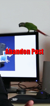 Oh look fly GIF - Find on GIFER