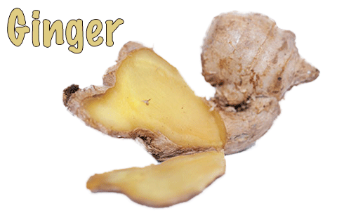 Ginger GIF - Find on GIFER