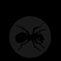 Prodigy GIF - Find on GIFER