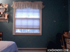 Gif Luciole Nathan Fillion