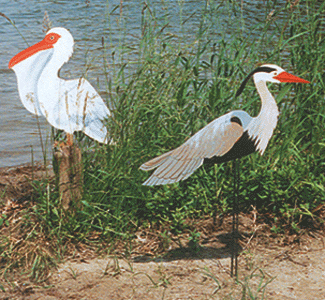 Pelican GIF - Find on GIFER