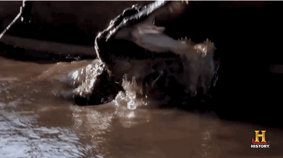 GIF funny history fabulous - animated GIF on GIFER