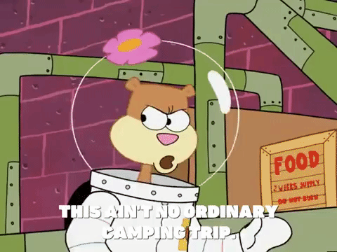 GIF spongebob squarepants season 5 episode 15 - animated GIF on GIFER