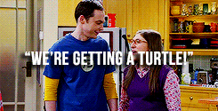 GIF the big bang theory relationships tbbt - animated GIF on GIFER