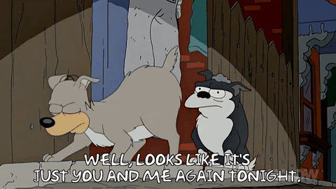 Dog episode 12 season 19 GIF - Find on GIFER
