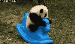 GIF blue horse panda - animated GIF on GIFER
