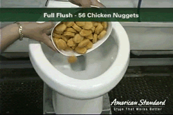 Standard GIF - Find on GIFER