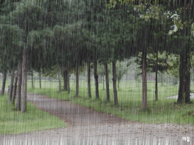 Rain GIF - Find on GIFER