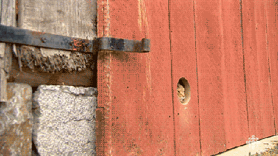 Joke hole glory GIF - Find on GIFER