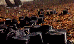 GIF post - animated GIF on GIFER