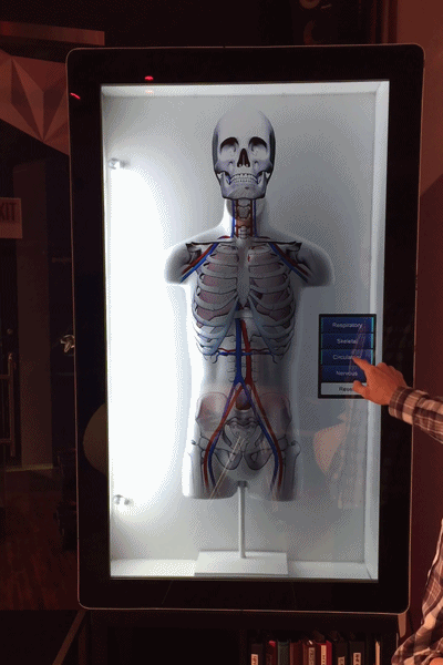 Transparent art design GIF - Find on GIFER