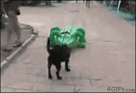 Funny fun images GIF - Find on GIFER