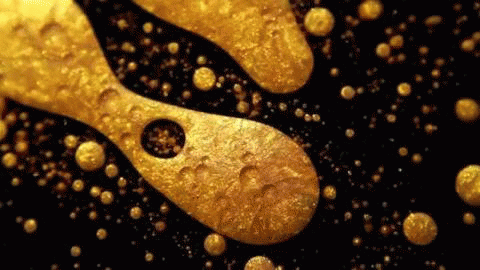 Oil GIF - Find on GIFER