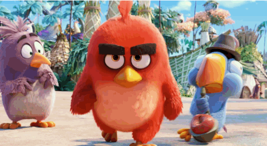 Stop angry birds eggs GIF - Find on GIFER