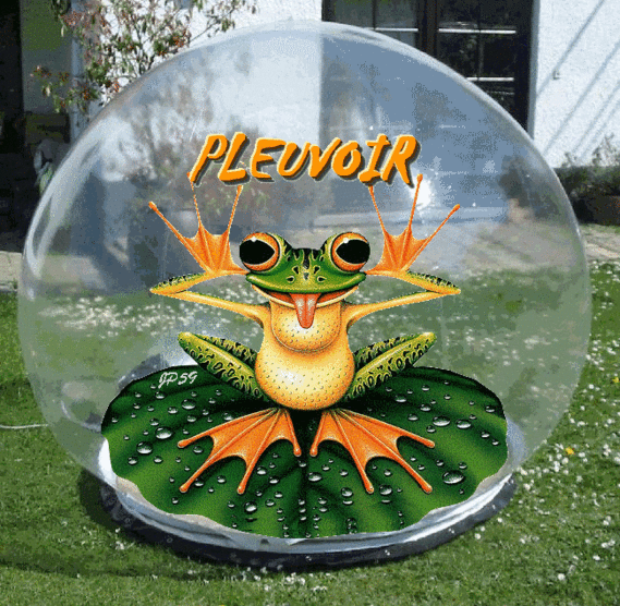 Humour GIF - Find on GIFER