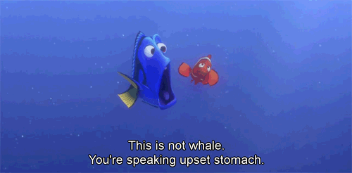 GIF funny dory nemo - animated GIF on GIFER