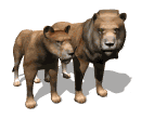 GIF interesting - animated GIF on GIFER