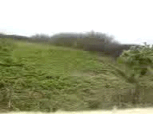 Remote control GIF - Find on GIFER