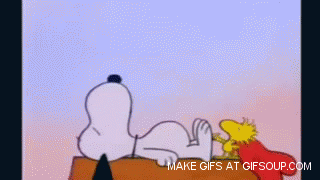 In your face GIF - Find on GIFER
