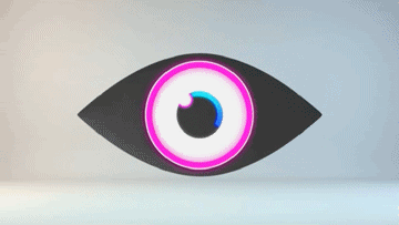 GIF big brother - animated GIF on GIFER