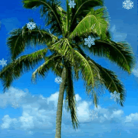 GIF palm trees - animated GIF on GIFER