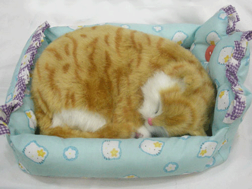 GIF sleeping - animated GIF on GIFER