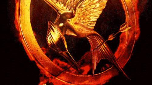 GIF the hunger games - animated GIF on GIFER