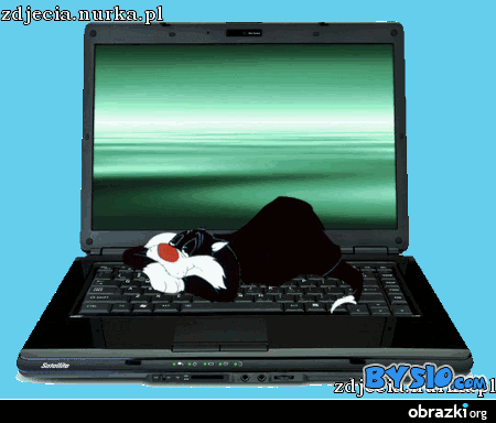 Ob GIF - Find on GIFER